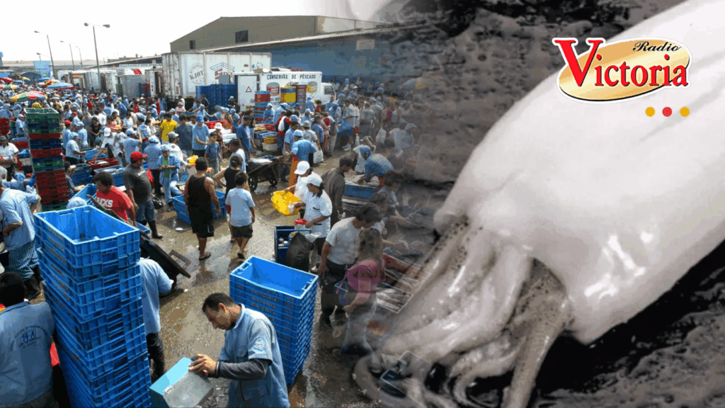 Terminal Pesquero San Pedro El Pescador celebra su aniversario con pota ...